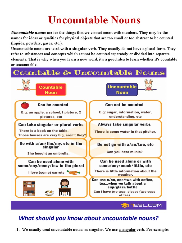 Understanding Uncountable Nouns | PDF | Noun | Grammatical Number