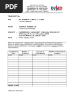 Phil IRI Individual Summary Record | PDF