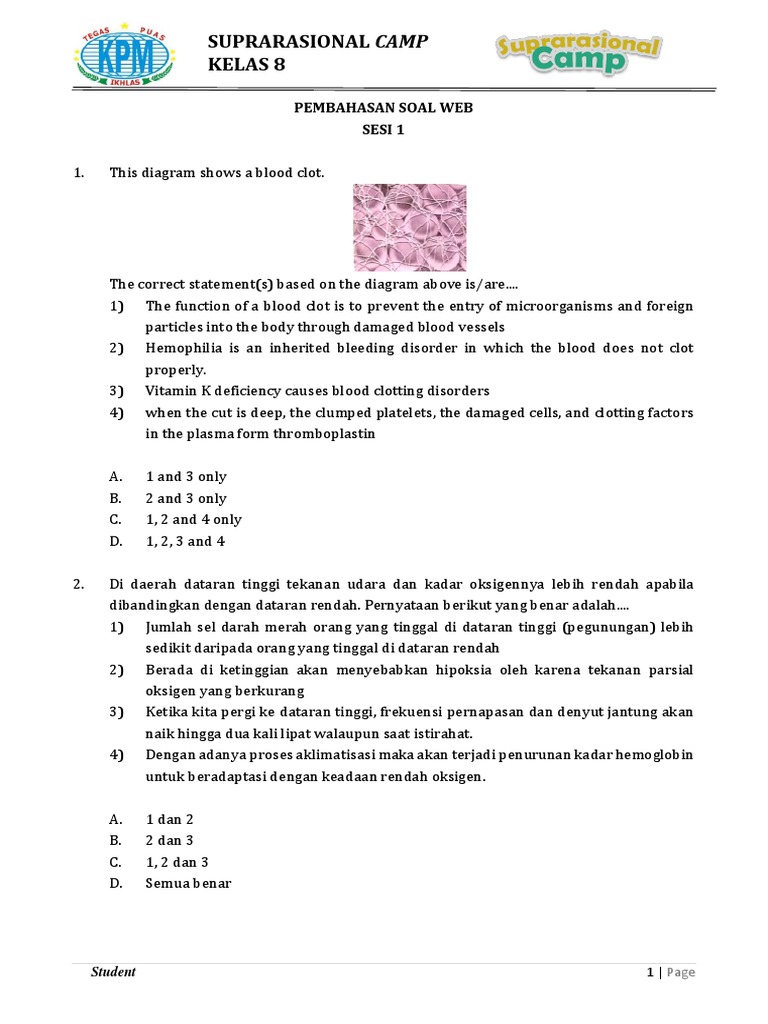 Suprarasional Camp Kelas 8: Pembahasan Soal Web Sesi 1 | PDF | Cellular Respiration | Nervous System