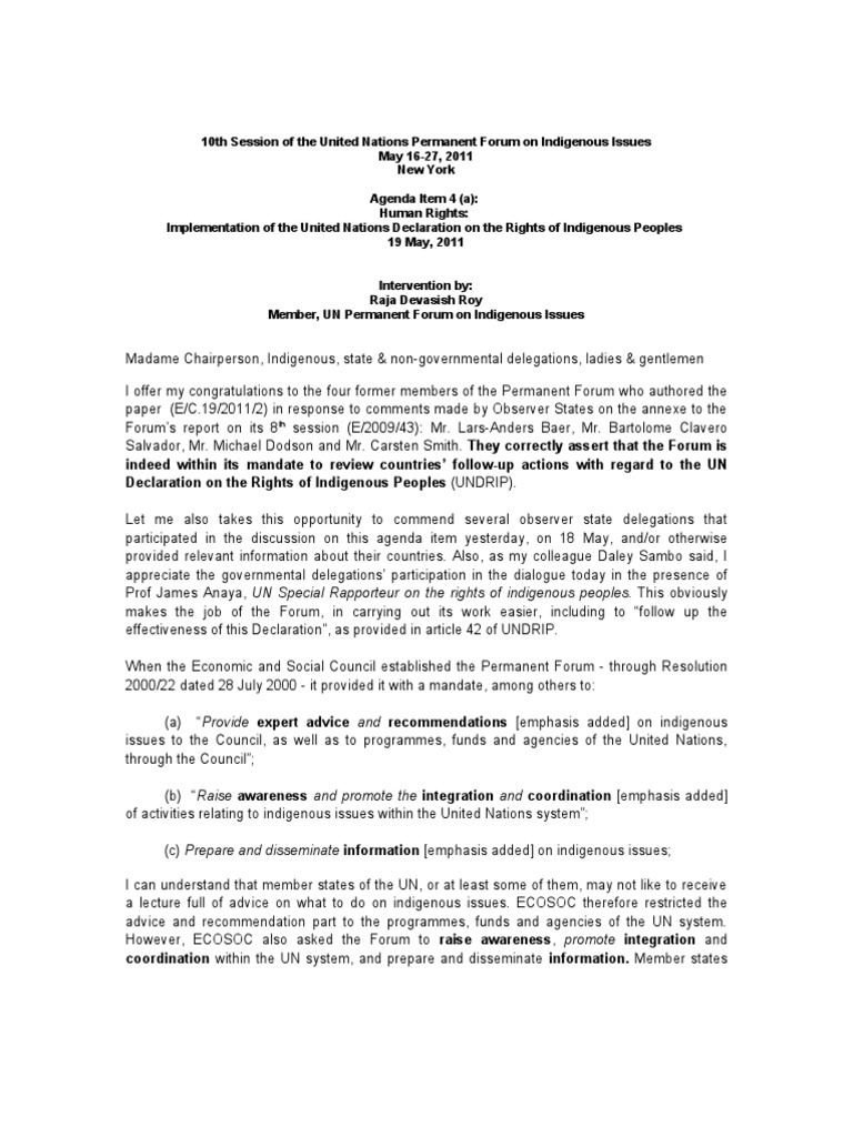 RDR UNDRIP 4a | PDF | Convention On The Elimination Of All Forms Of ...