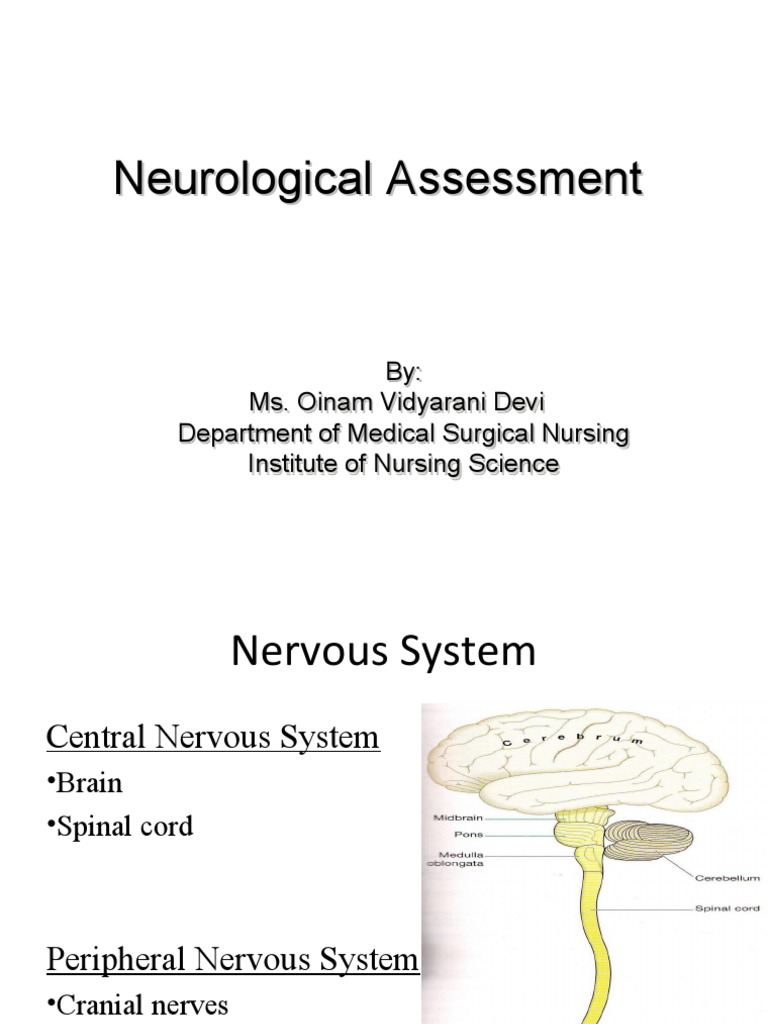 Neurological Assessment | PDF | Nerve | Anatomical Terms Of Motion