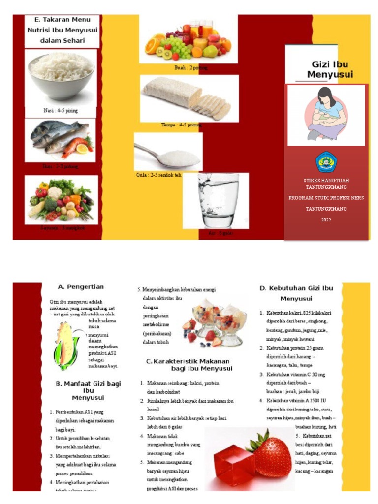 Leaflet Gizi Ibu Menyusui | PDF