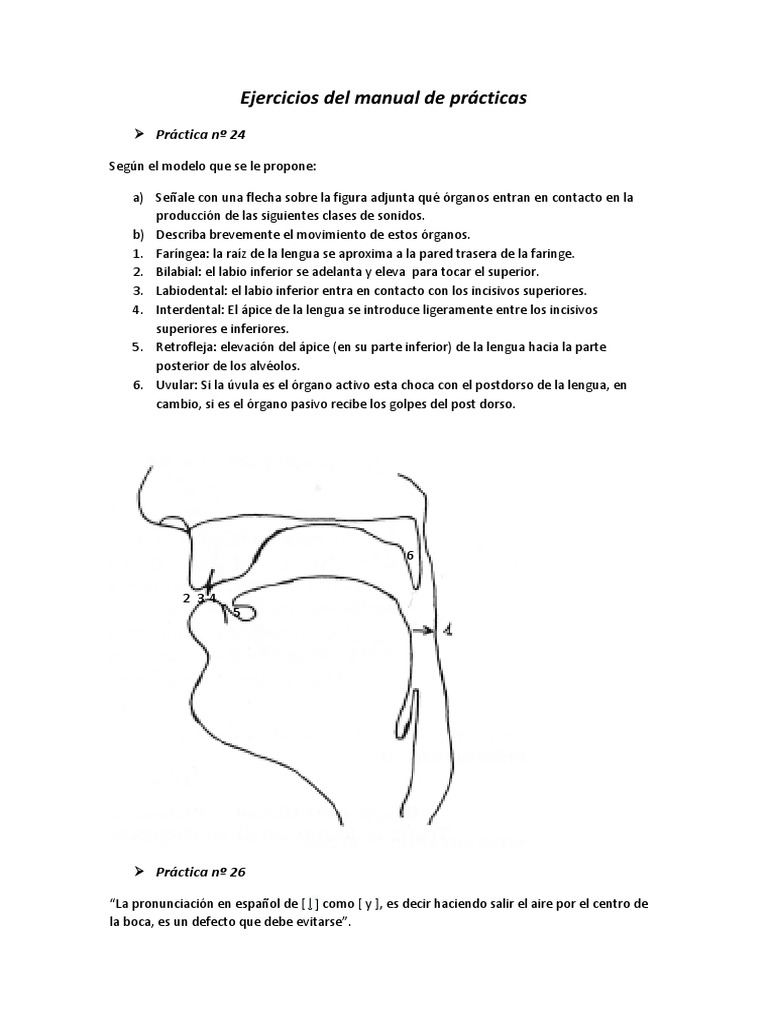 Ejecicios Manual de Prácticas | Descargar gratis PDF | Vocal | Fonética