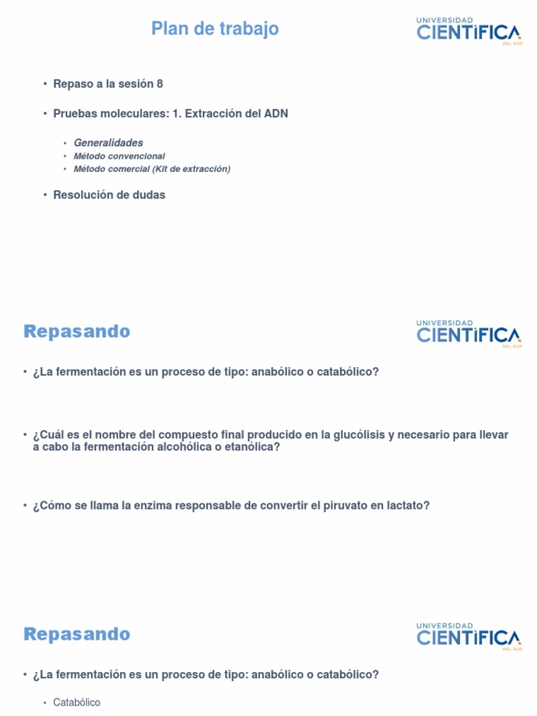 9 Clase N9 (Semana 10 Extracción de ADN) Sesión 30 - 2020-2 | PDF | Glucólisis | Biología Celular)