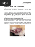 PLUXIME | PDF