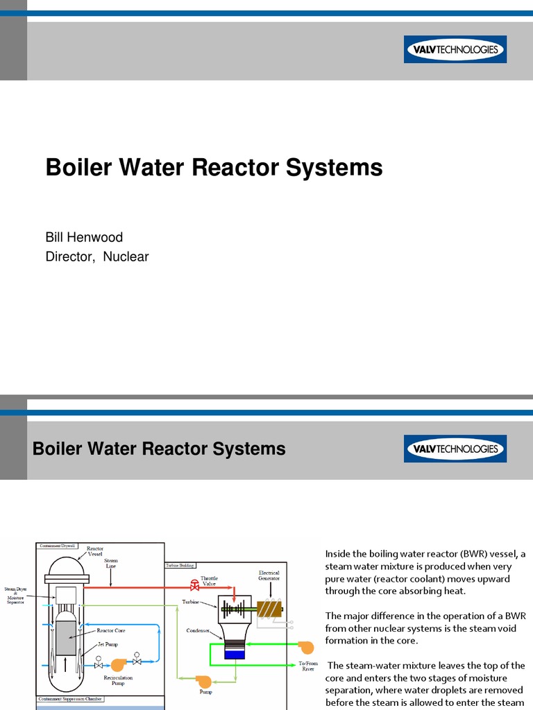 BWR Nuclear Systems | PDF | Nuclear Reactor | Power (Physics)