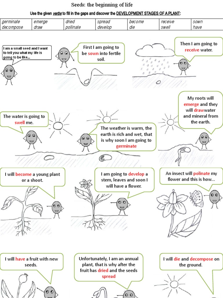 Germinate Decompose Emerge Draw Dried Pollinate Spread Develop Become ...