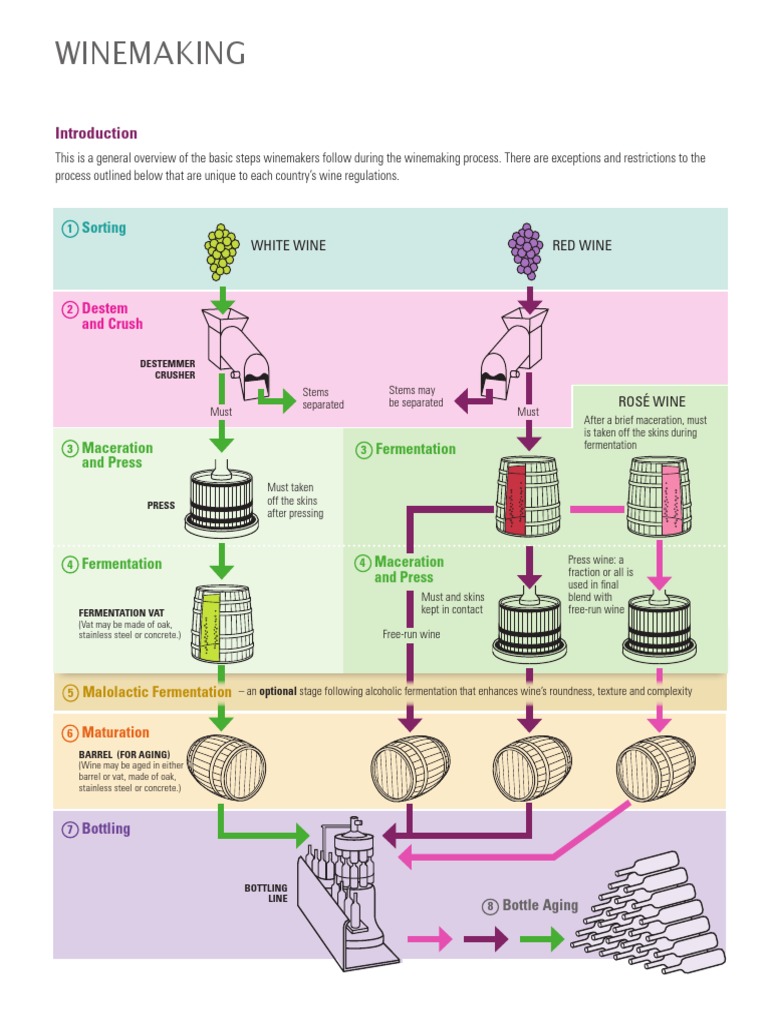 Wine Guide | PDF | Winemaking | Fermentation In Winemaking