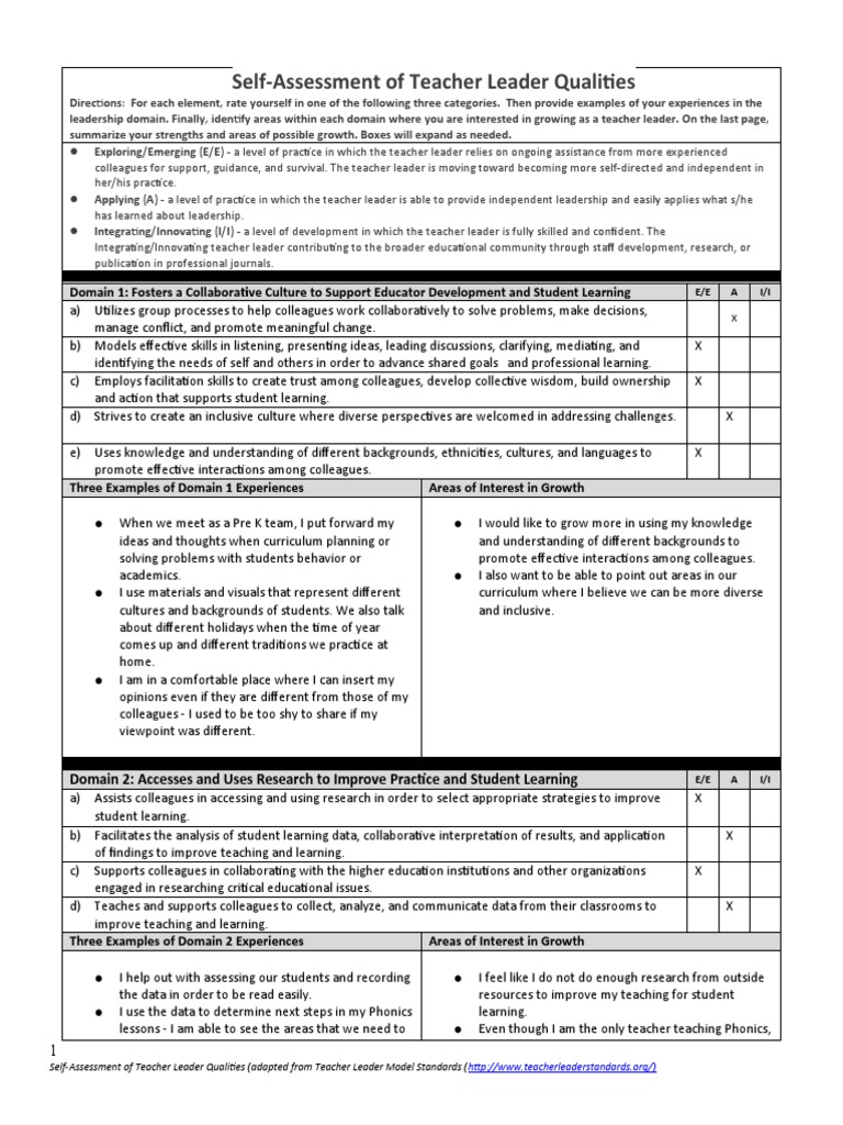 Teacher Leader Self Assessment | PDF | Leadership | Teachers