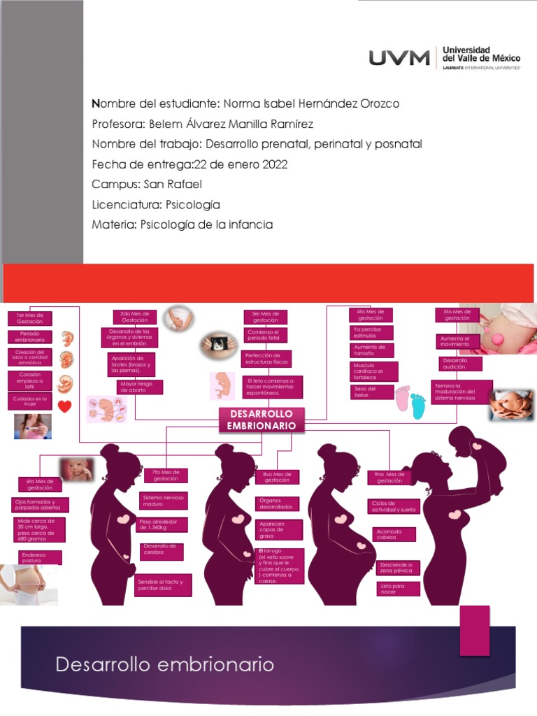 Desarrollo Prenatal, Perinatal y Posnatal | PDF | Parto | El embarazo