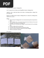 Seed Germination Report Sample (Easy) | PDF | Seedling | Seed