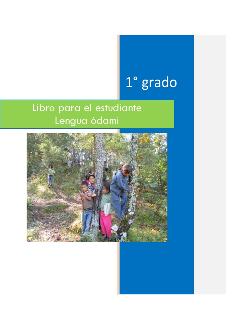 Libro de Primer Grado 160518 Version Español | PDF