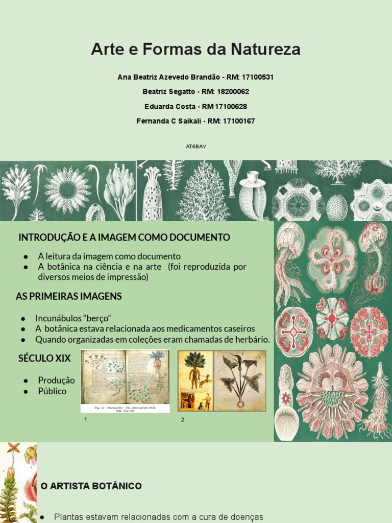 Arte e Formas Da Natureza | PDF | Biologia | Science