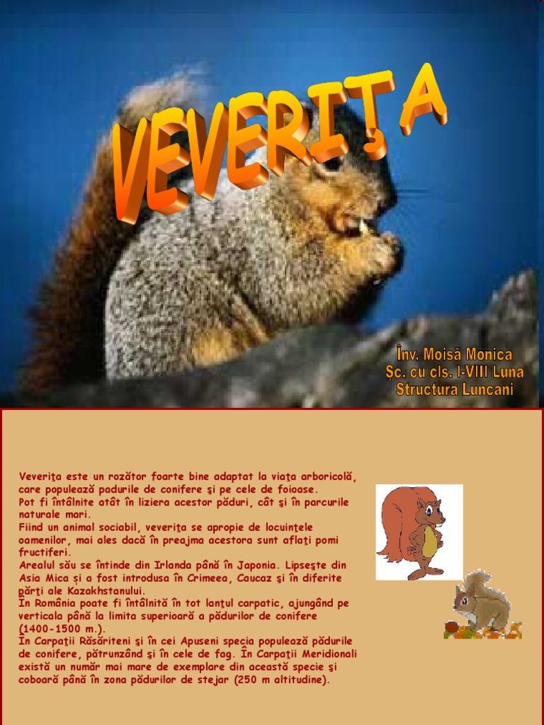 Veverita | PDF