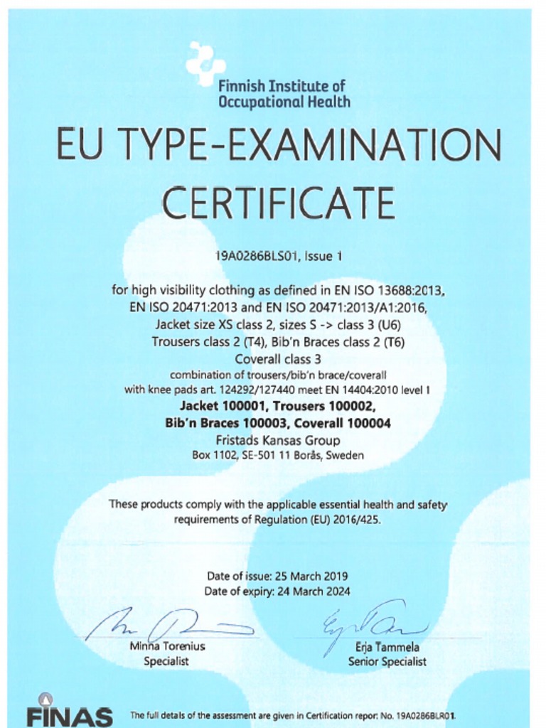 Eu Type-Examination: Certificate | PDF | Medicine | Safety