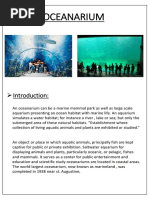 Oceanarium/ Aquarium Thesis Report | PDF | Aquarium | Filtration