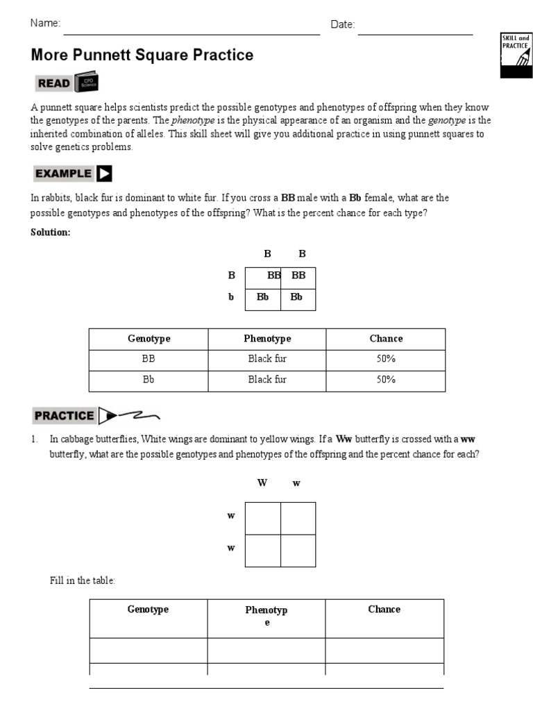 More Punnett Square Practice: Solution: B B BB BB BB BB | PDF ...