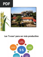 5 S INFOGRAFIA | PDF | Business | Procesos de negocio
