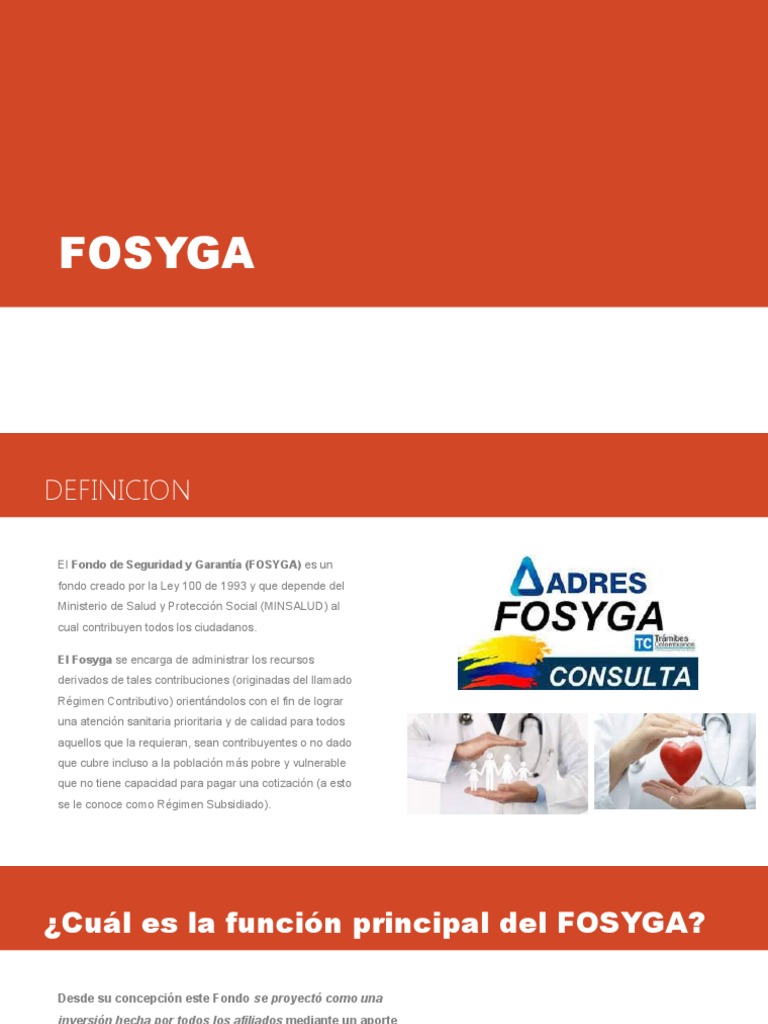 Expo Fosyga TP | PDF | Economias