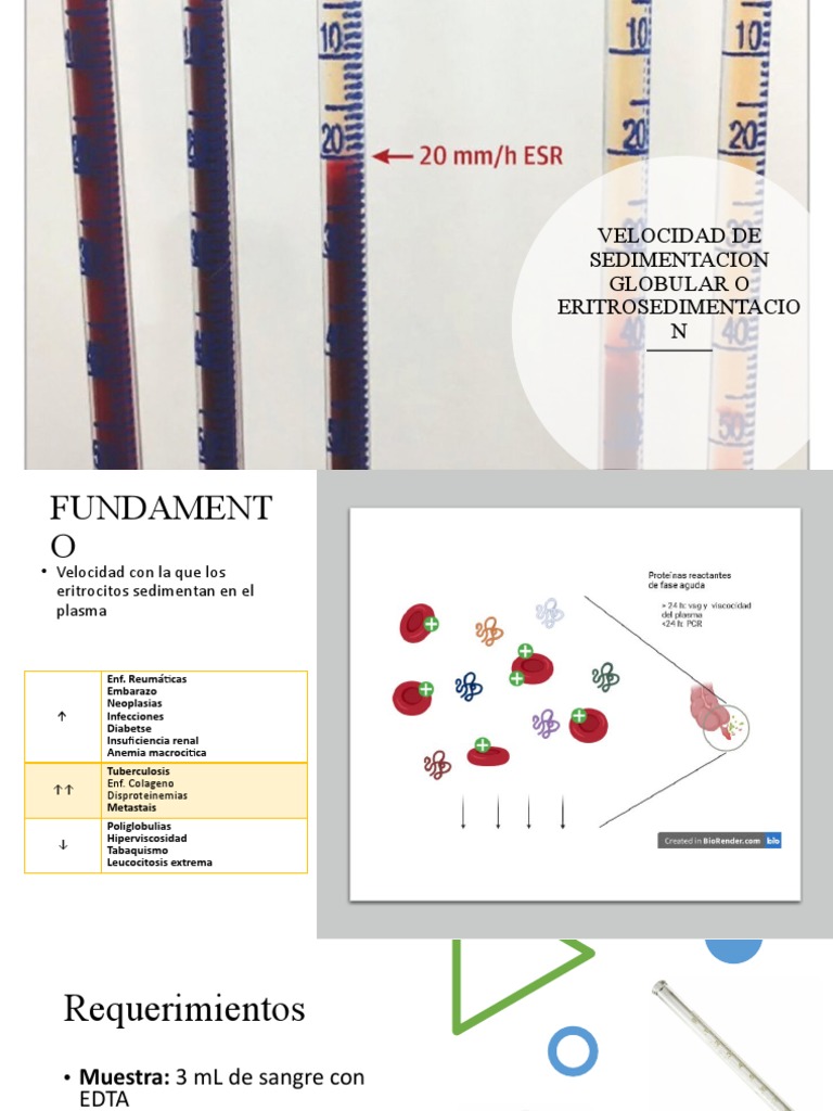 Velocidad de Sedimentacion Globular o Eritrosedimentacion | PDF