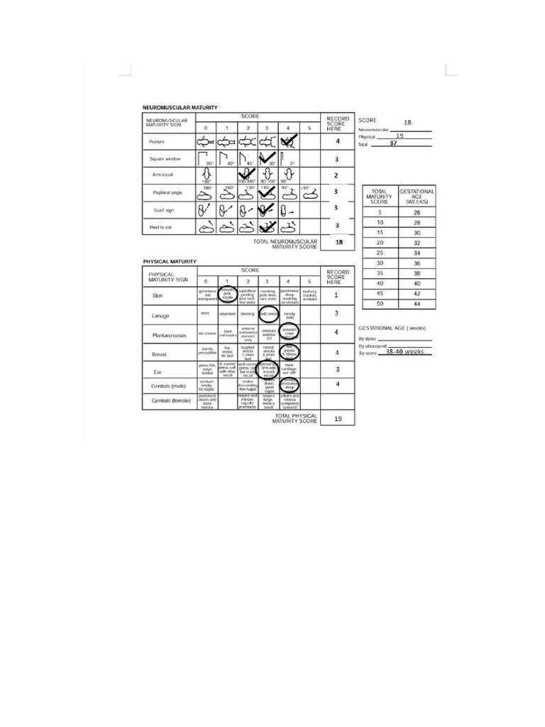 Ballard Scoring | PDF