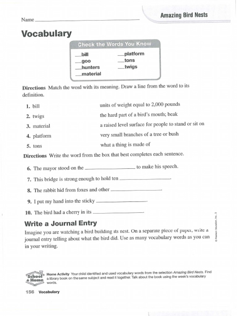 Un 2 WK 5 Amazing Bird Nests | PDF