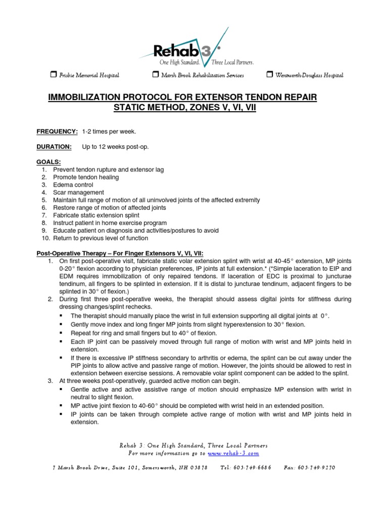 Extensor Tendon Repair Protocol Guide | PDF | Anatomical Terms Of ...