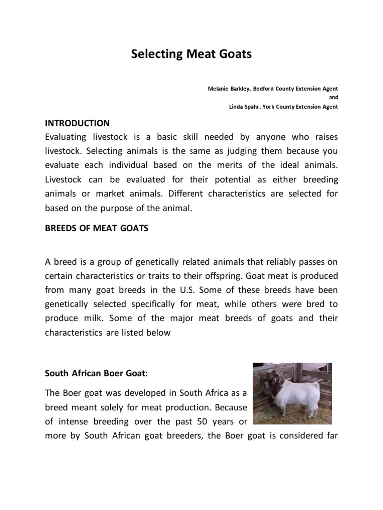 Guide to Selecting Meat Goats | PDF | Goat | Livestock