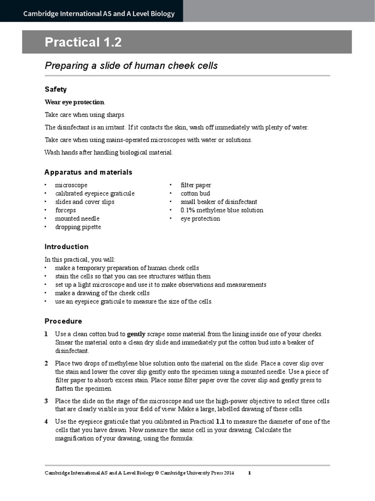 Practical 1.2: Preparing A Slide of Human Cheek Cells | Download Free ...