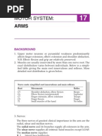 Pyramidal Weakness. Practical Neurology | PDF | Anatomical Terms Of ...