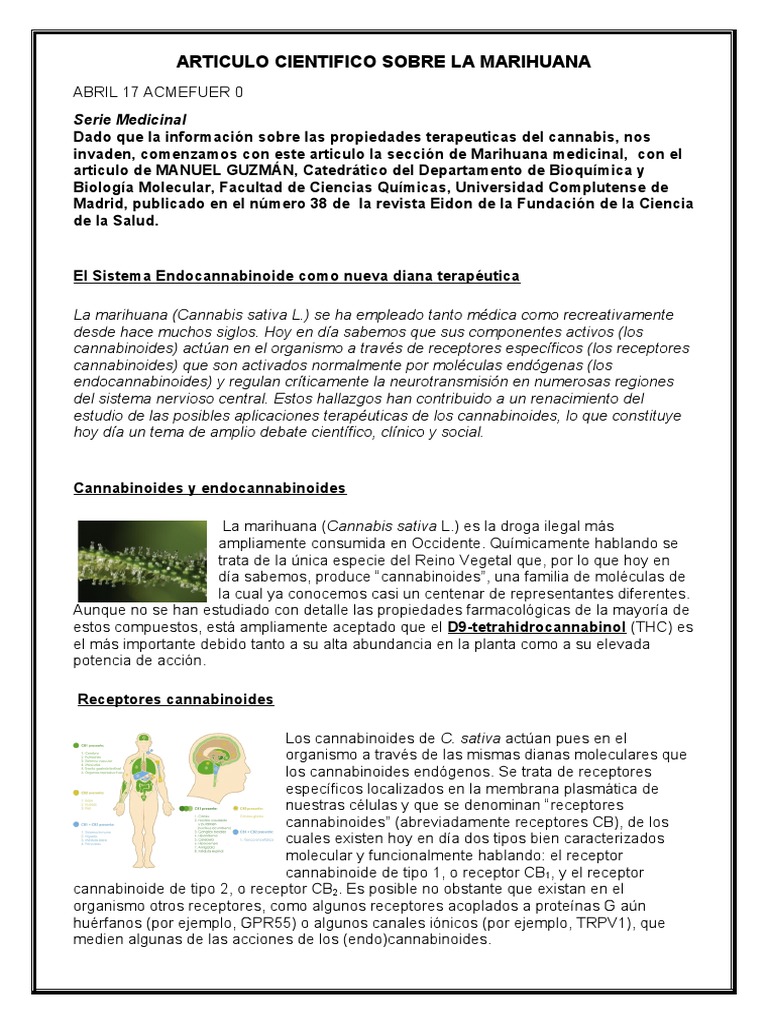 Articulo Cientifico Sobre La Marihuana | PDF | Cannabis (Droga ...