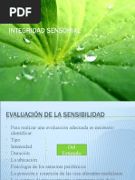 Tacto Protopático y Epicrítico KNP | PDF | Piel | Neurobiología
