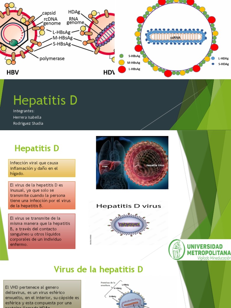 Hepatitis D | PDF | Hepatitis | Virus