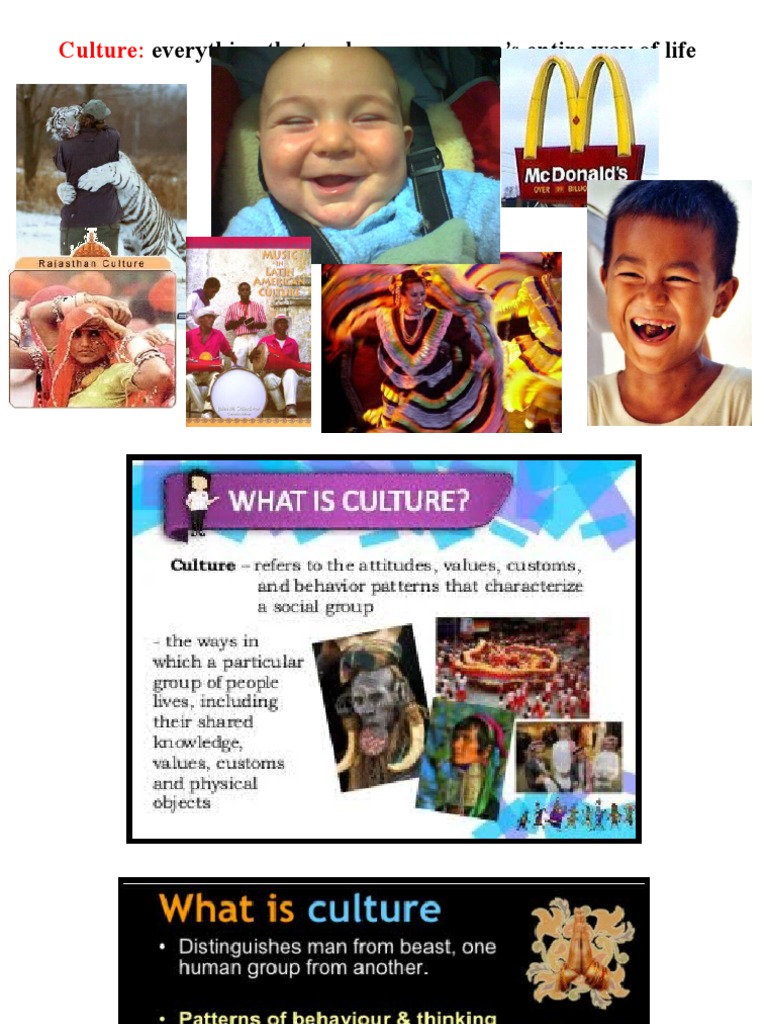 Everything That Makes Up A Person's Entire Way of Life: Culture | PDF