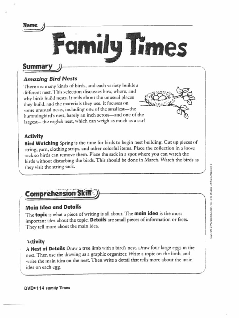 Amazing Bird Nests | PDF