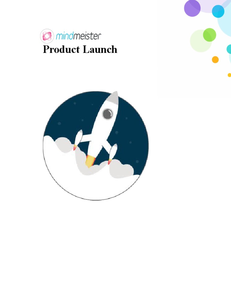 Comprehensive Product Launch Guide | PDF | Business | Computers