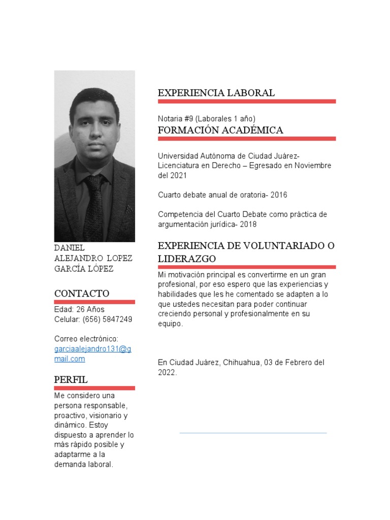 Curriculum Vitae Daniel | PDF