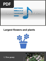 7 Most Beautiful Flowers in The World | PDF | Garden Plants ...