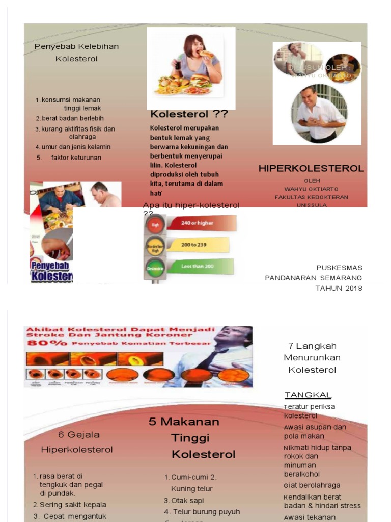 PDF Leaflet Kolesterol | PDF