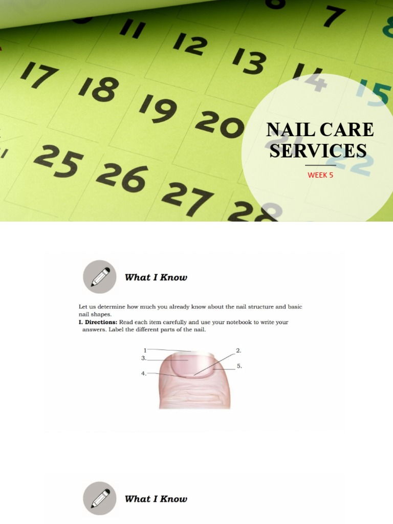 Shapes of The Nail | PDF | Nail (Anatomy) | Foot