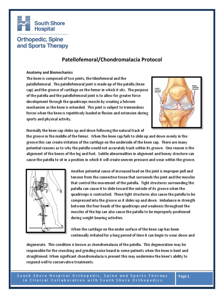 Chondromalacia Patella Rehab Protocol | PDF | Knee | Physical Therapy