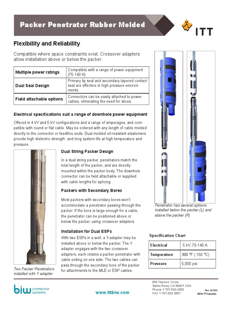 Data Sheet Title Packer Penetrator Rubber Molded: Flexibility and ...