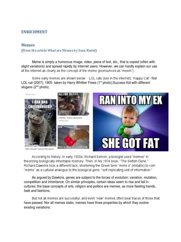 Enrichment Memes: (From The Article What Are Memes by Sean Rintel ...