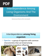 Food Chains and Webs Powerpoint | PDF