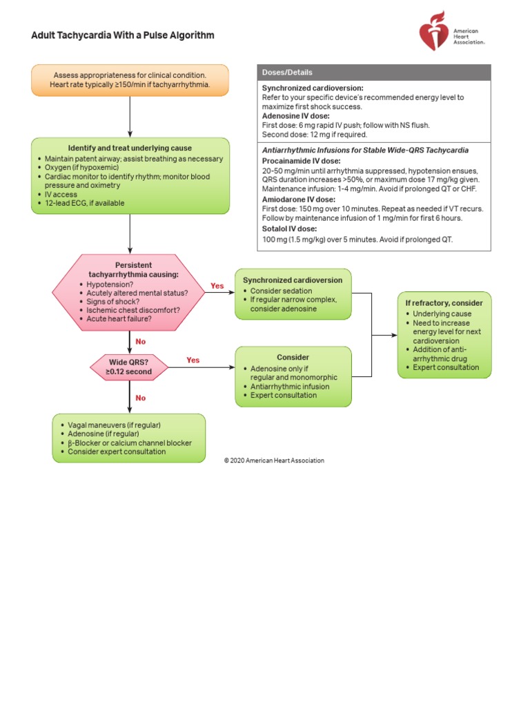 Adult Tachycardia With A Pulse Algorithm: Doses/Details | PDF ...