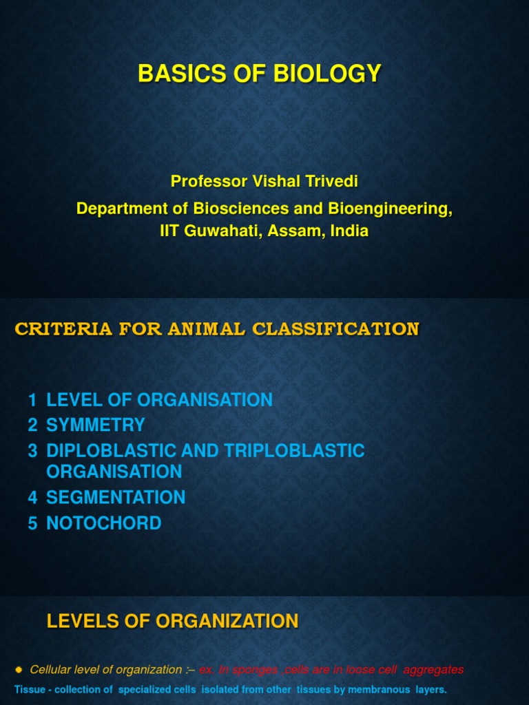 Animal Classification Basics | PDF | Mollusca | Biology