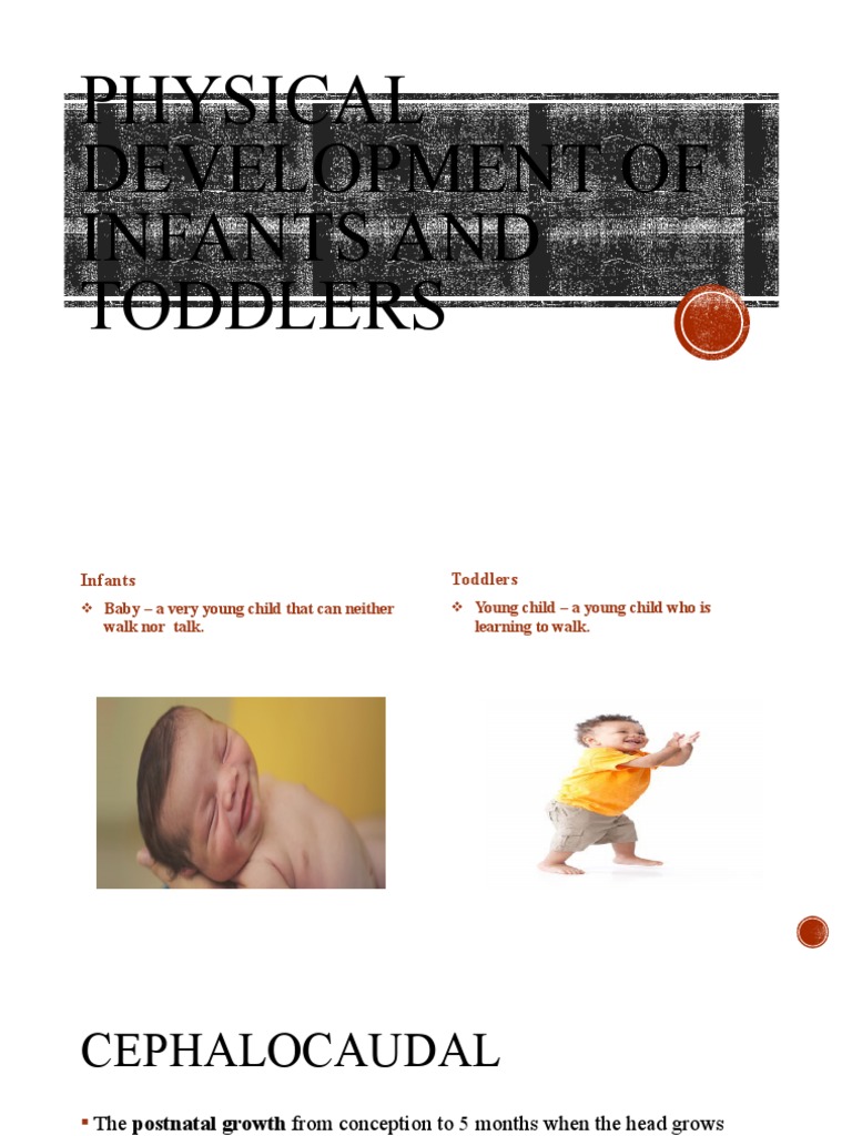 Physical Development of Infants and Toddlers | PDF | Infants | Perception