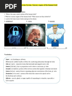 Brain Bee Study Questions | PDF | Stimulus (Physiology) | Neurotransmitter