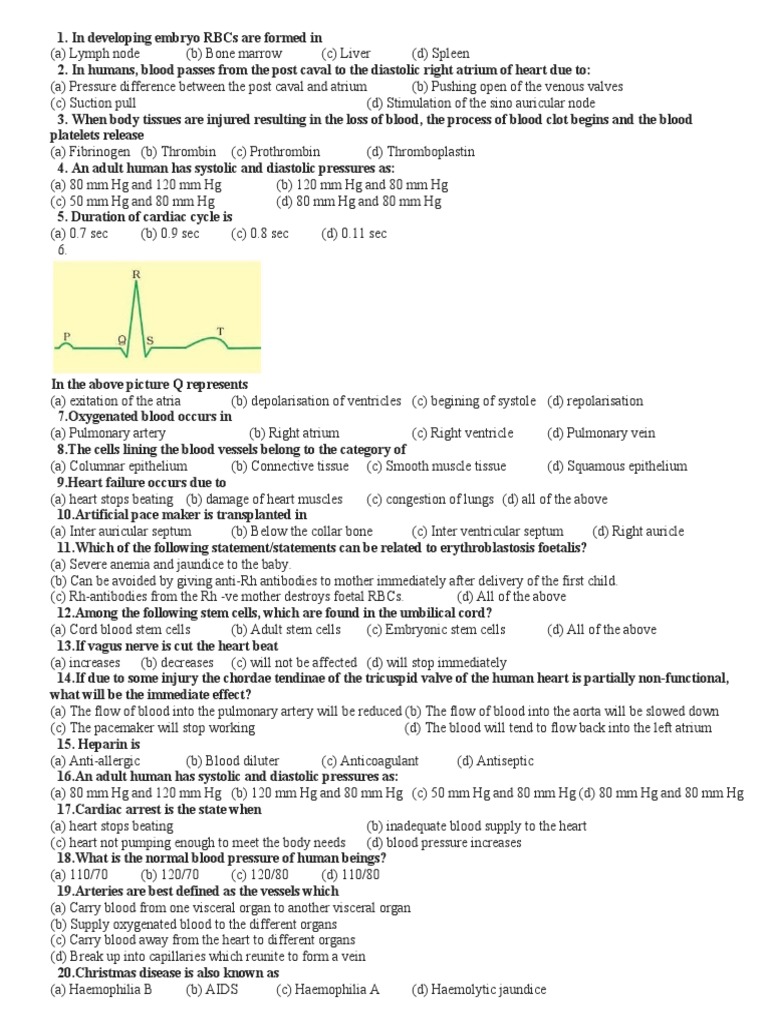 STD 11 Bio ch-18, MCQ | PDF | Heart | Atrium (Heart)