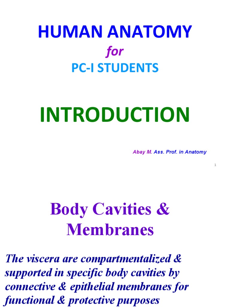 Introduction To ANATOMY. Part-IV | PDF | Lymphatic System | Nerve